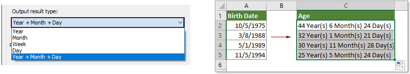 Berechnen Sie schnell das Alter (konvertieren Sie das Geburtsdatum in ...