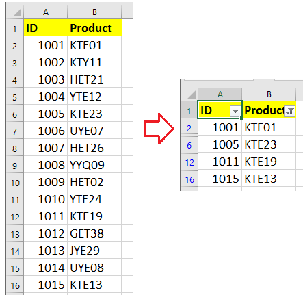 How to display only rows with certain text in Excel?