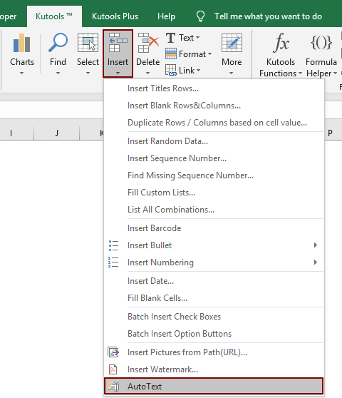 How To Create And Insert An Auto Text Entry In Excel 