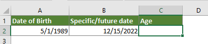 How to calculate age on a specific or future date in Excel?