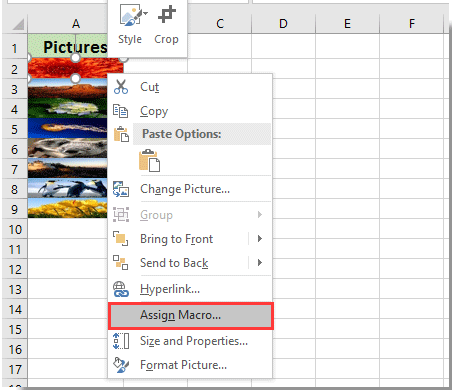 How to enlarge image when click on it in Excel?