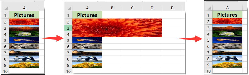 How to enlarge image when click on it in Excel?