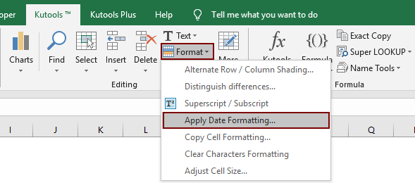 How to display or show year of date only in Excel?