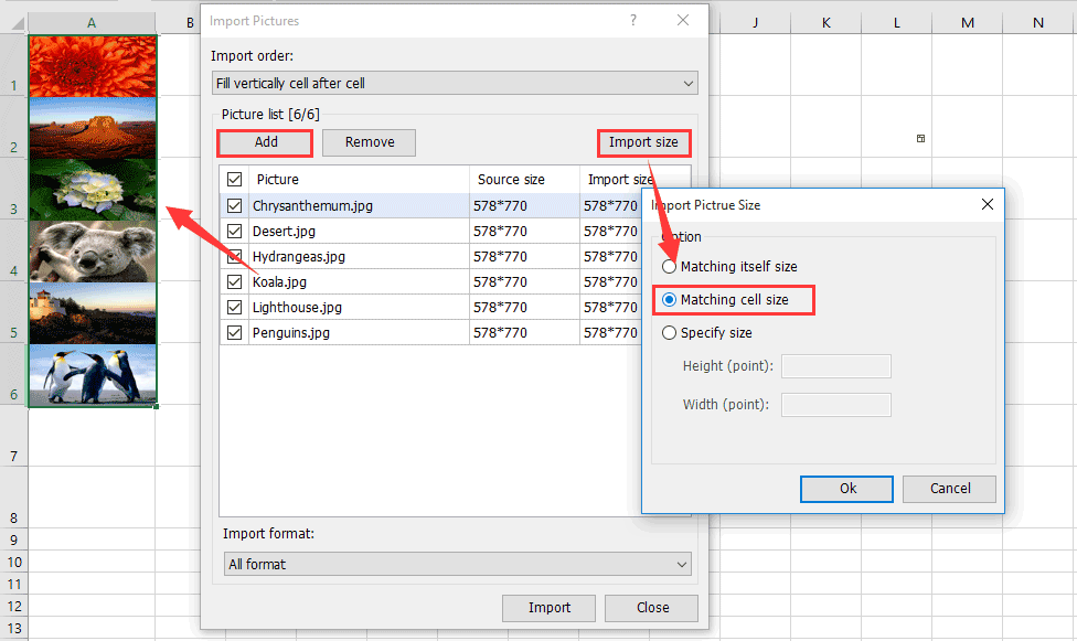 How To Lock Picture image To Or Inside Cell In Excel 