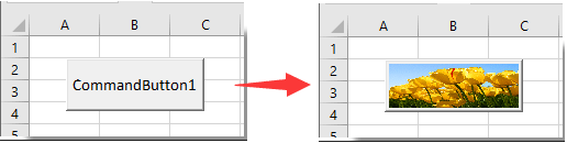 How to insert a picture into a Command Button in Excel?