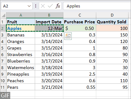 The Ultimate Guide to Excel's Format Painter (3 Examples)