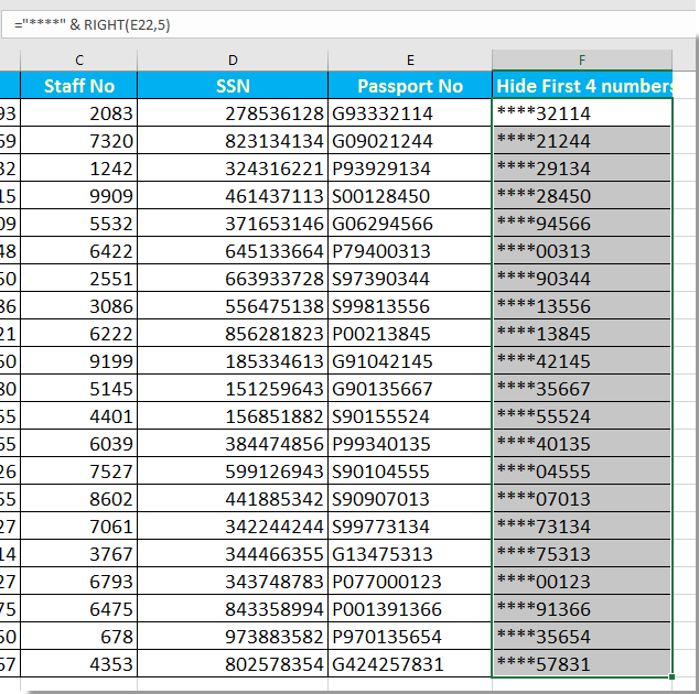 How to only hide part of cell value in Excel?