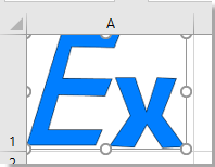 How to insert company logo into worksheet?