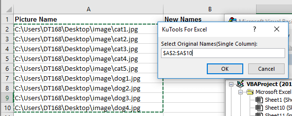 How to rename all images names in a folder according to a list of cells ...