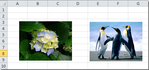 How to resize multiple cells to fit pictures quickly in Excel?
