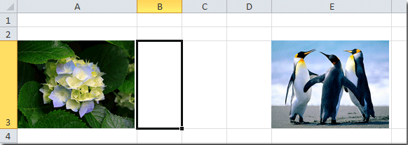 How to resize multiple cells to fit pictures quickly in Excel?