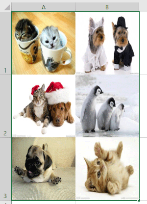 How to resize multiple cells to fit pictures quickly in Excel?