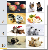 How to resize pictures to fit cells in Excel?