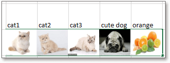 How to conditional formatting smiley face chart or font in Excel cells?
