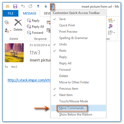 How to enable and disable panning hand in Outlook?