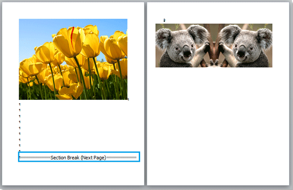 How to add different formats page numbers to certain pages in Word?