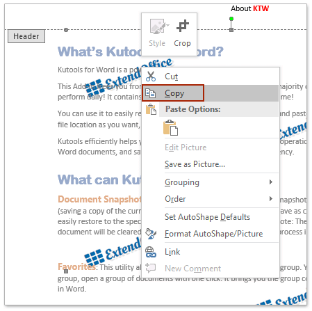 How to copy watermark from one Word document to another?