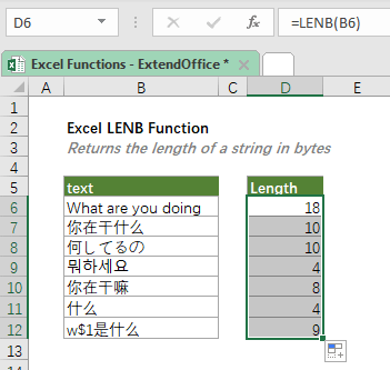 Excel LENB Function