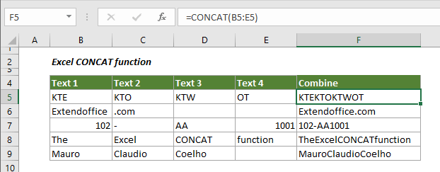 Penjelasan Fungsi CONCAT Dan Struktur Formulanya Di Microsoft Excel 