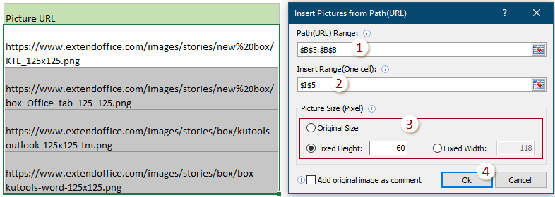 Easily insert or display images from URLs or file paths in Excel