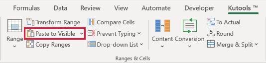 Quickly Copy Data And Paste Into Only Visible Cells Filtered List In